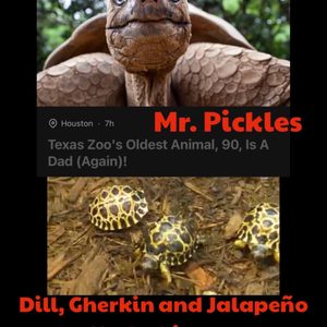 FONDE RECREATION CENTER - Updated December 2025 - 18 Photos & 10 ...