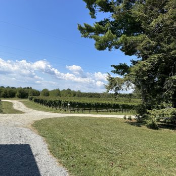 MARKED TREE VINEYARD - Updated July 2024 - 206 Photos & 69 Reviews ...