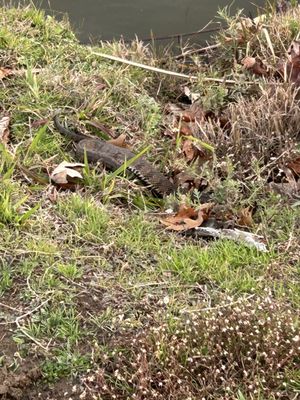 CARROLLTON PUBLIC LIBRARY AT JOSEY RANCH LAKE - Updated October 2025 ...