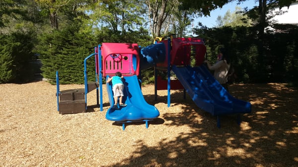 IVES PARK - Updated July 2024 - 15 Photos - 7400 Willow St, Sebastopol ...