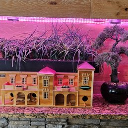 ACAPPELLA ITALIAN RESTAURANT - Updated July 2025 - 72 Photos & 142 ...