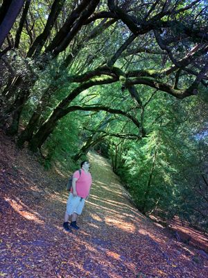 GRIZZLY PEAK - 312 Photos & 144 Reviews - Old Fish Ranch Rd, Berkeley ...