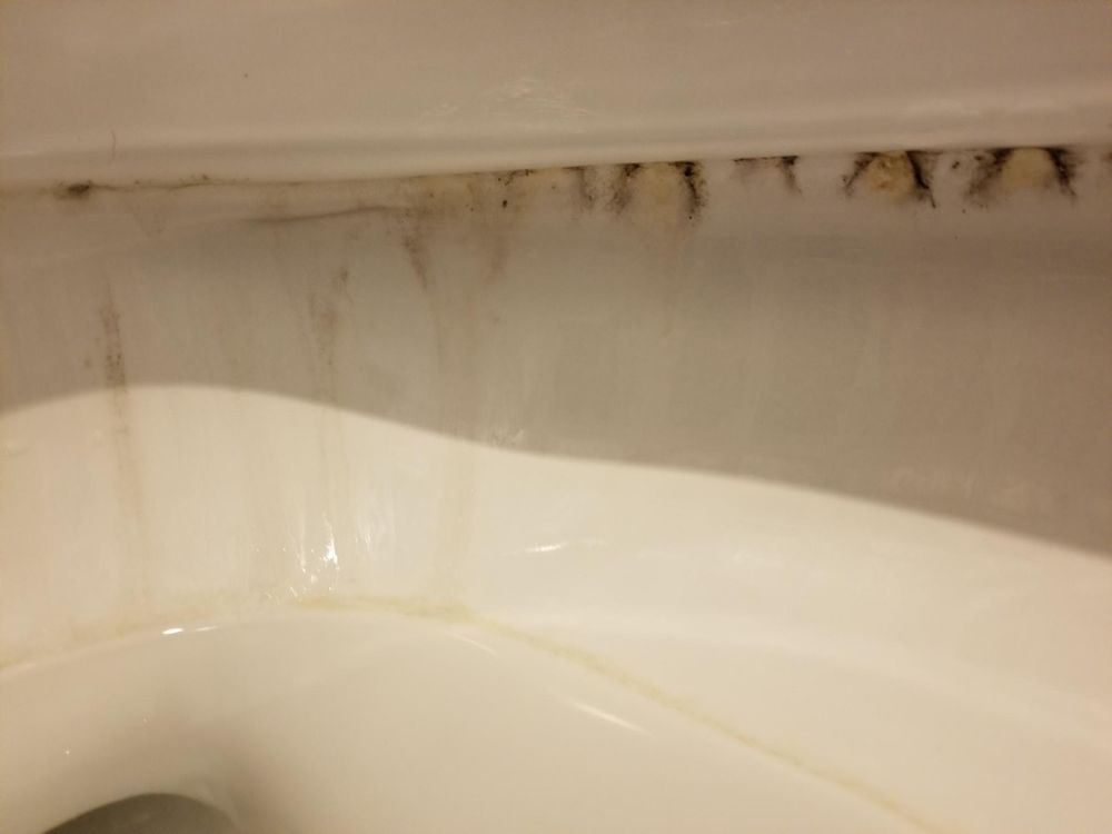 TRI-COUNTY MAINTENANCE - Updated November 2024 - Tall Timbers, Maryland ...