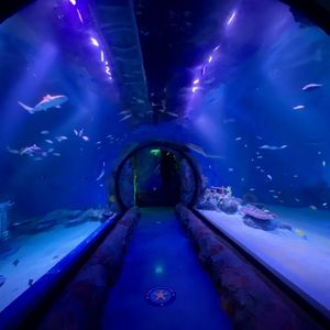 ESSEX COUNTY TURTLE BACK ZOO - Updated June 2024 - 1443 Photos & 422 ...