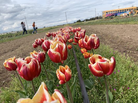 DUTCH HOLLOW FARMS - 205 Photos & 92 Reviews - 2500 Santa Fe Ave ...