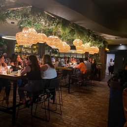TIMPANO HYDE PARK - Updated August 2025 - 1785 Photos & 842 Reviews ...