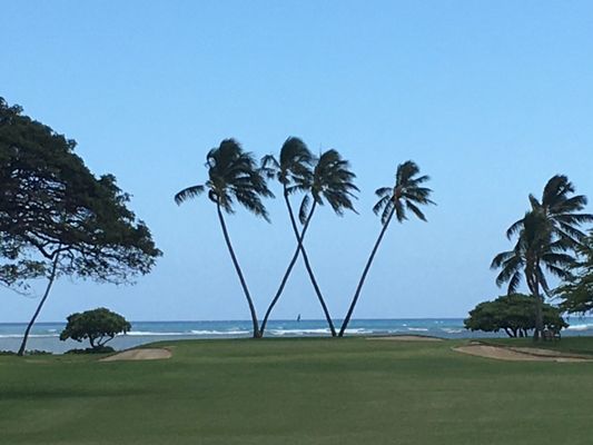 WAIALAE COUNTRY CLUB - 376 Photos & 84 Reviews - 4997 Kahala Ave ...