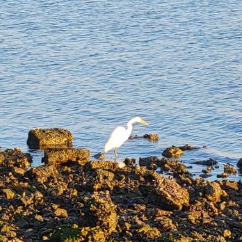 BALLAST POINT PARK - Updated October 2025 - 209 Photos & 87 Reviews ...