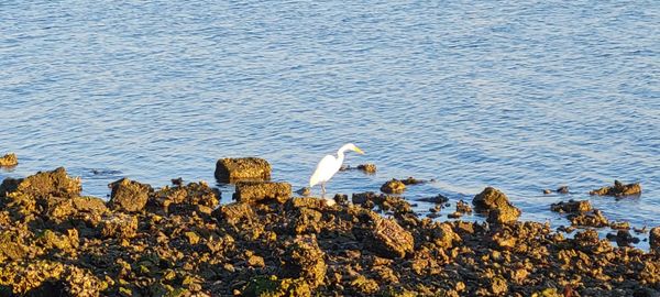 BALLAST POINT PARK - Updated December 2024 - 209 Photos & 87 Reviews ...