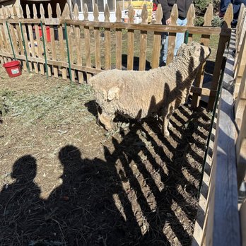 ROSE BRIDGE FARM & SANCTUARY - Updated April 2025 - 225 Photos & 78 ...