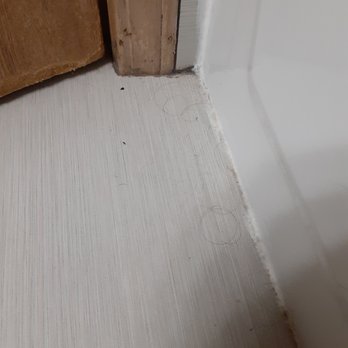 RED LION INN & SUITES SEQUIM - Updated December 2025 - 50 Photos & 39 ...