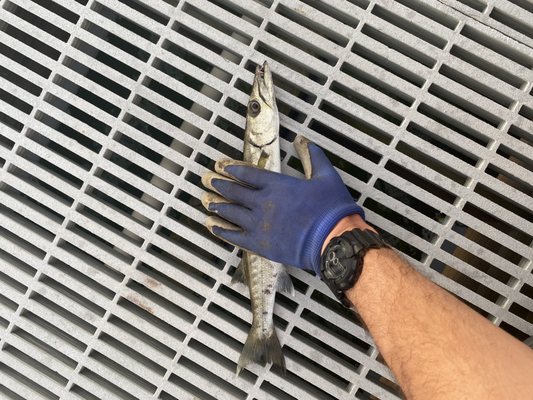 CAPTAIN BAD BAIT AND TACKLE - Updated October 2025 - 12 Reviews ...