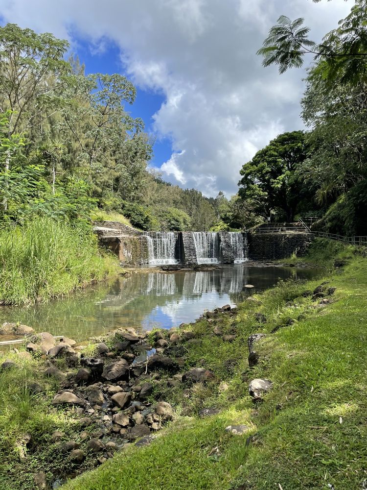 WAI KOA LOOP TRAIL - Updated August 2025 - 171 Photos & 41 Reviews - 5 ...