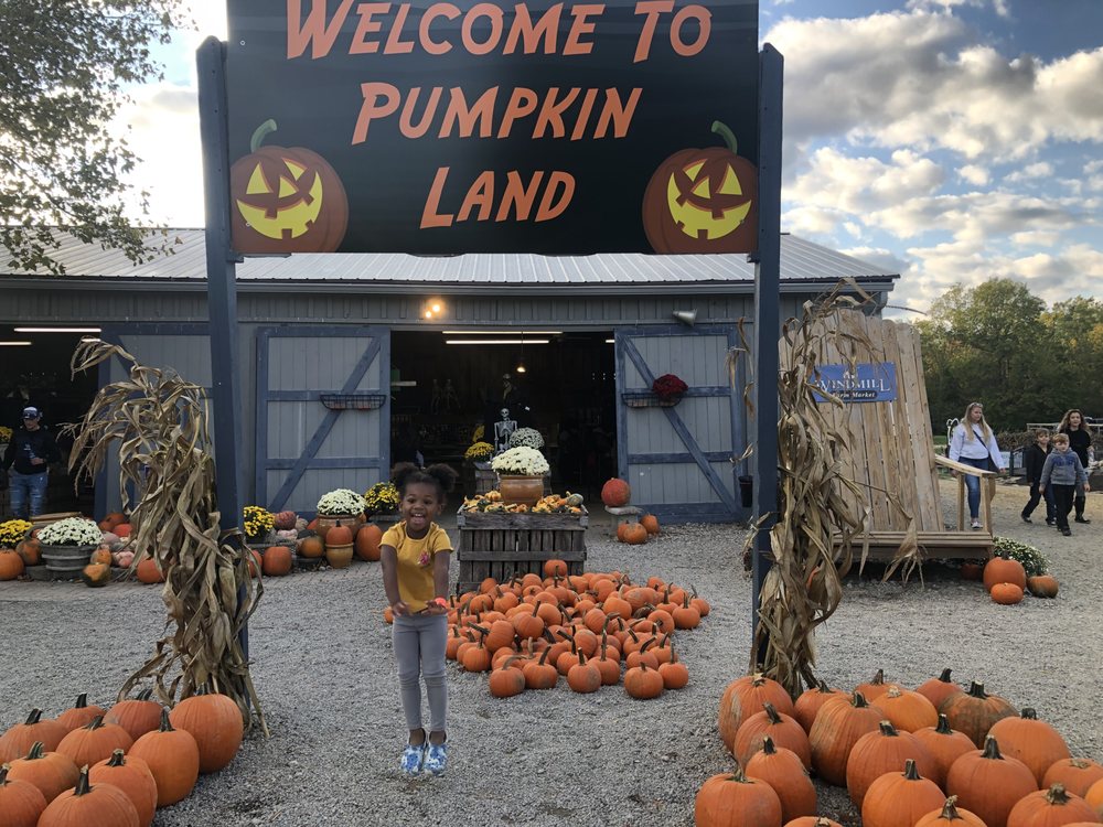 WINDMILL FARM MARKET - Updated January 2026 - 25 Photos - 1454 E State ...