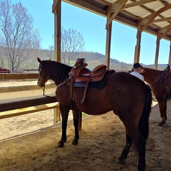SHENANDOAH RIDING CENTER - Updated November 2025 - 49 Photos & 77 ...