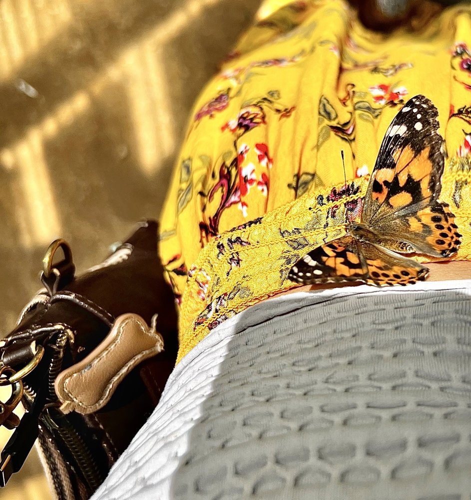 THE MOUNTAIN MERMAID - Updated July 2024 - 229 Photos & 58 Reviews ...