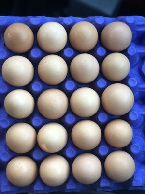 GOLDEN FRESH EGG RANCH - 37 Photos & 45 Reviews - Specialty Food - 8332 ...