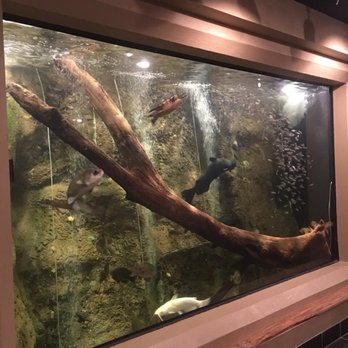 BOOKER FOWLER FISH HATCHERY - Updated July 2025 - 10 Joan Stokes Rd ...