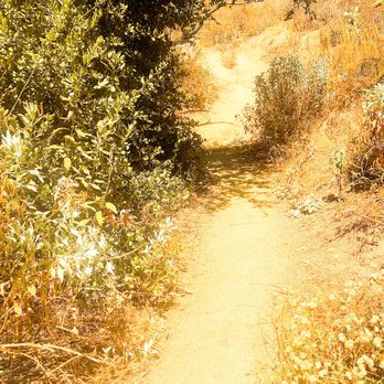 BOX SPRINGS TWO TREES TRAIL - Updated November 2025 - 181 Photos & 34 ...