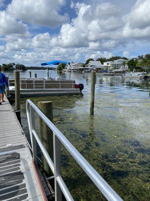 BEST WESTERN CRYSTAL RIVER RESORT - Updated November 2025 - 71 Photos ...