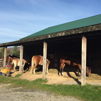 LAJOIE STABLES - Updated July 2024 - 19 Photos & 36 Reviews - 992 ...