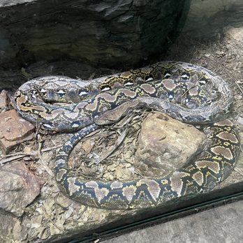 ZOO ATLANTA - Updated June 2024 - 2729 Photos & 642 Reviews - 800 ...