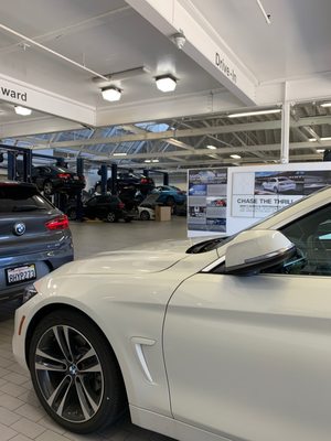 SANTA MONICA BMW - Updated August 2024 - 99 Photos & 1163 Reviews ...