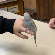 MAGNOLIA BIRD FARM - 100 Photos & 140 Reviews - Pet Stores - 12200 ...