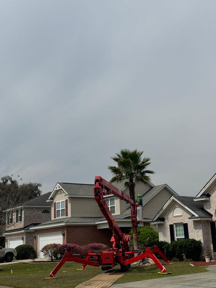 MAGANA TREE SERVICE - Updated October 2025 - 66 Photos - Rincon ...