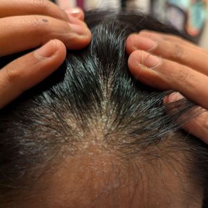 D4 SEASON - Updated January 2026 - 44 Photos & 86 Reviews - 15507 ...