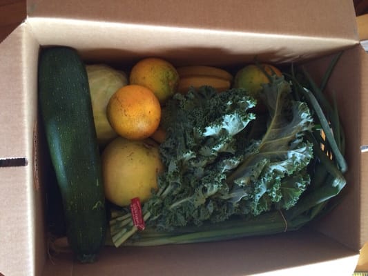 FRESH ALOHA DIRECT - Updated October 2025 - 91-1440 Farrington Hwy ...