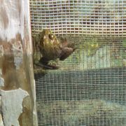 POWDER MILL FISH HATCHERY - 45 Photos - Local Fish Stores - 150 Park Rd ...