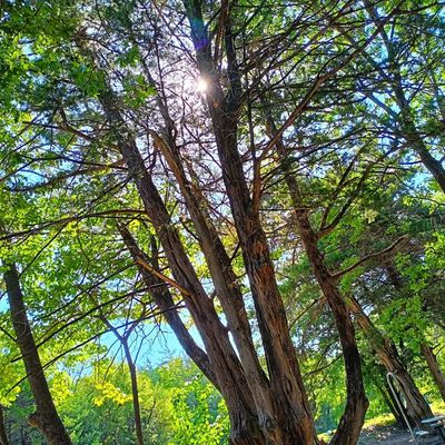 BONHAM STATE PARK - Updated March 2025 - 16 Photos & 15 Reviews - 1363 ...