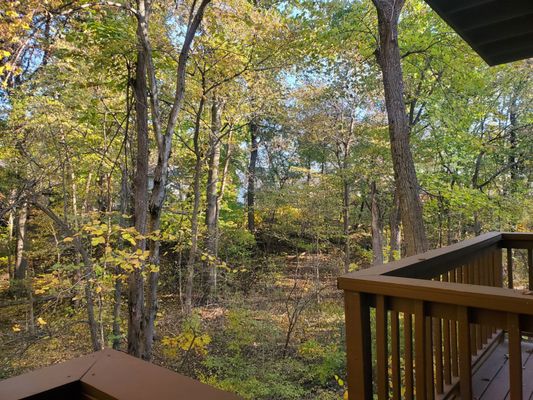 SPRING HOUSE INN - Updated October 2025 - 36 Photos & 65 Reviews - 303 ...