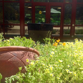 WOODSIDE LIBRARY - Updated September 2025 - 27 Photos & 10 Reviews ...