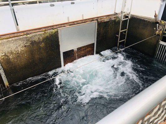 BONNEVILLE DAM FISH HATCHERY - 397 Photos & 94 Reviews - Aquariums ...