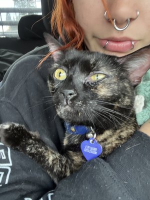 THE PIXIE PROJECT - Updated December 2025 - 39 Photos & 97 Reviews ...