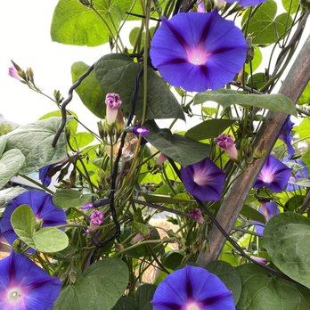 POST STREET FARM - Updated December 2025 - 225 Photos & 30 Reviews ...