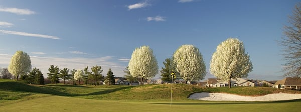 LINFIELD NATIONAL GOLF CLUB - Updated December 2025 - 22 Photos & 50 ...