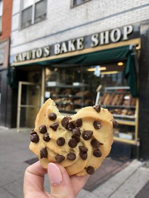 CAPUTO’S BAKE SHOP - 98 Photos & 140 Reviews - 329 Court St, Brooklyn ...
