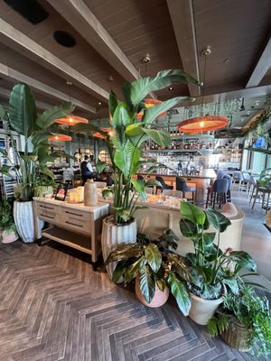 DEL MAR - Updated February 2025 - 257 Photos & 80 Reviews - 4089 The ...