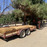 RILEY’S FARM - 774 Photos & 379 Reviews - 12261 S Oak Glen Rd, Oak Glen ...