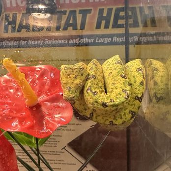 FLOATING SEA AQUATICS - Updated August 2025 - 268 Photos & 57 Reviews ...