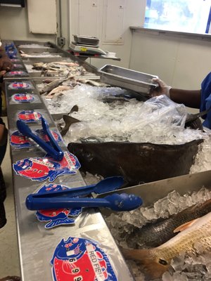 Seafood - SALTWATER SEAFOOD & FRY SHACK - 51 Photos & 75 Reviews - 4 ...