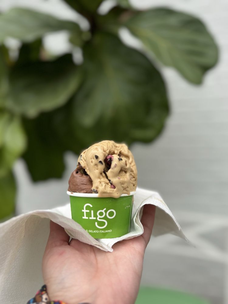 FIGO IL GELATO ITALIANO - QUEENS - Updated January 2026 - 340 Photos ...