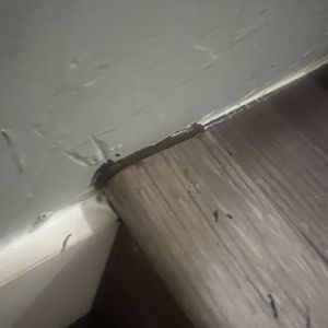 EXPRESS FLOORING - Updated December 2024 - 373 Photos & 283 Reviews ...