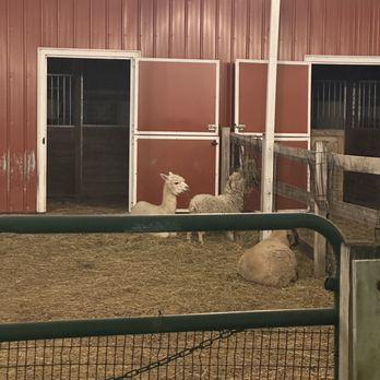 PARKY’S FARM - Updated December 2025 - 20 Photos - 10037 Daly Rd ...