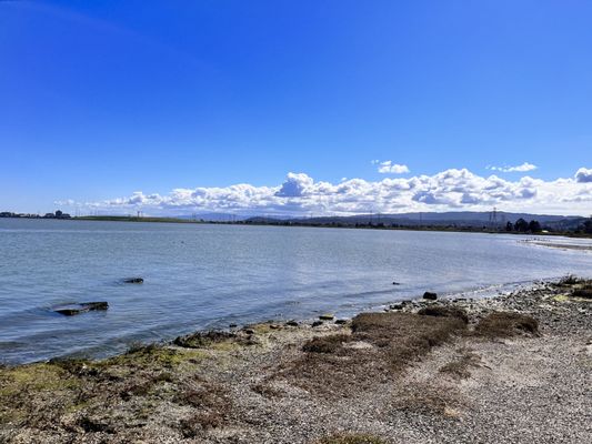 COYOTE POINT RECREATION AREA - 631 Photos & 226 Reviews - 1701 Coyote ...