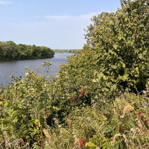 PINE GROVE ZOO - Updated October 2025 - 15 Photos - 1200 W Broadway ...