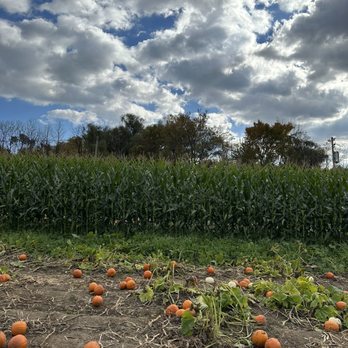 FARMS VIEW ROADSTAND - Updated October 2024 - 179 Photos & 72 Reviews ...